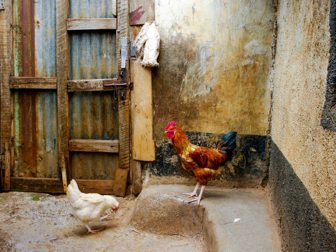 Researchers Compare Temperatures In Nairobi Slum To A Weather Station ...