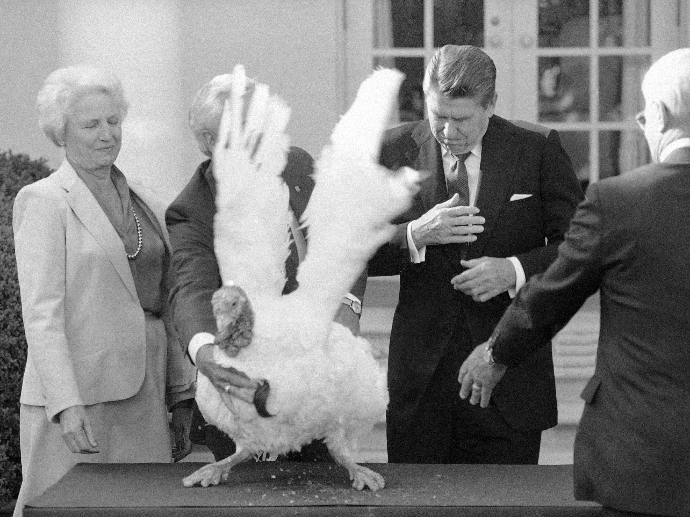 Week Ahead: Trump Again Shows He's Willing To Use His Pardon Power ...