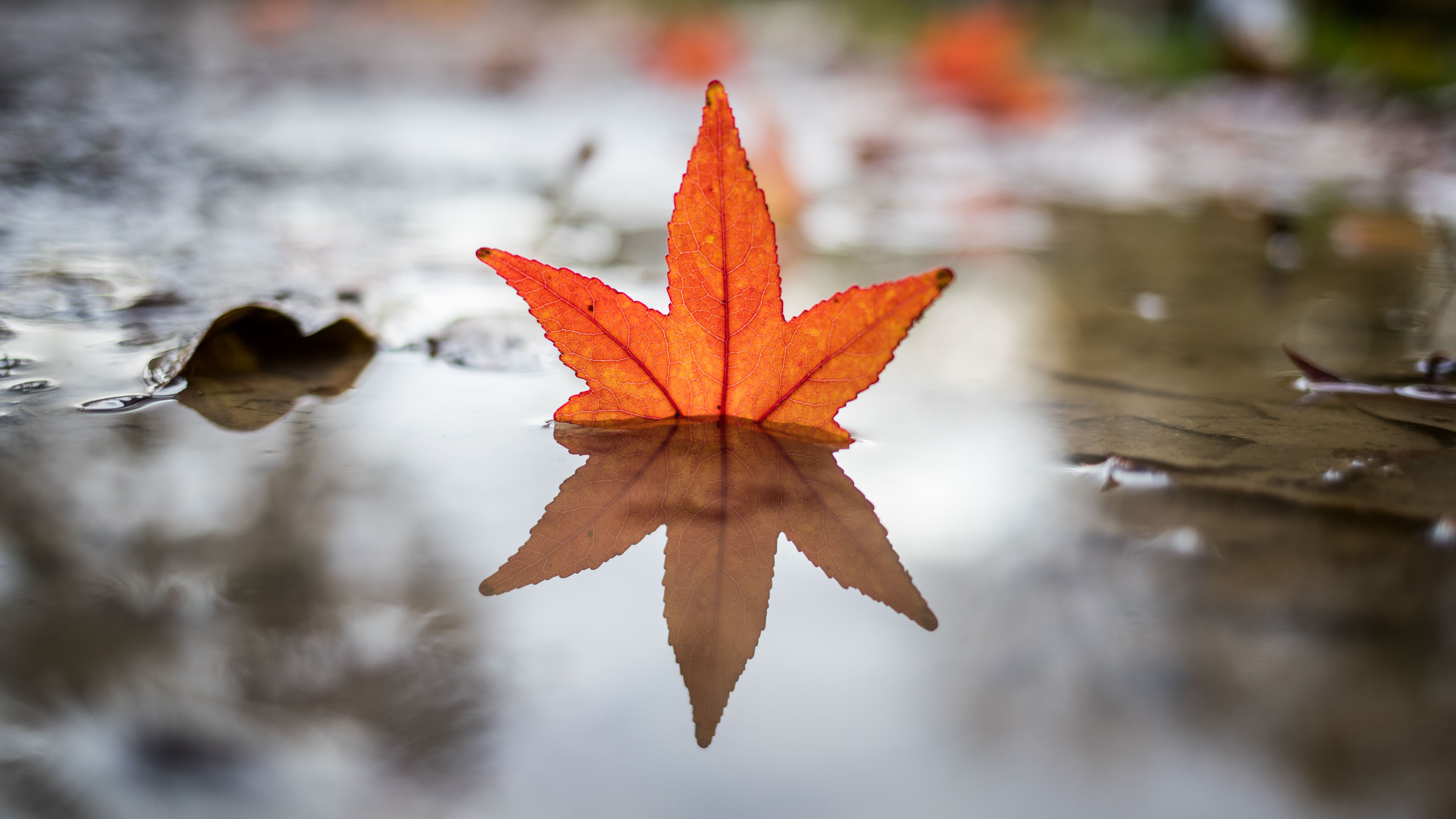 For Many Native Americans, Fall Is The Least Wonderful Time Of The Year ...