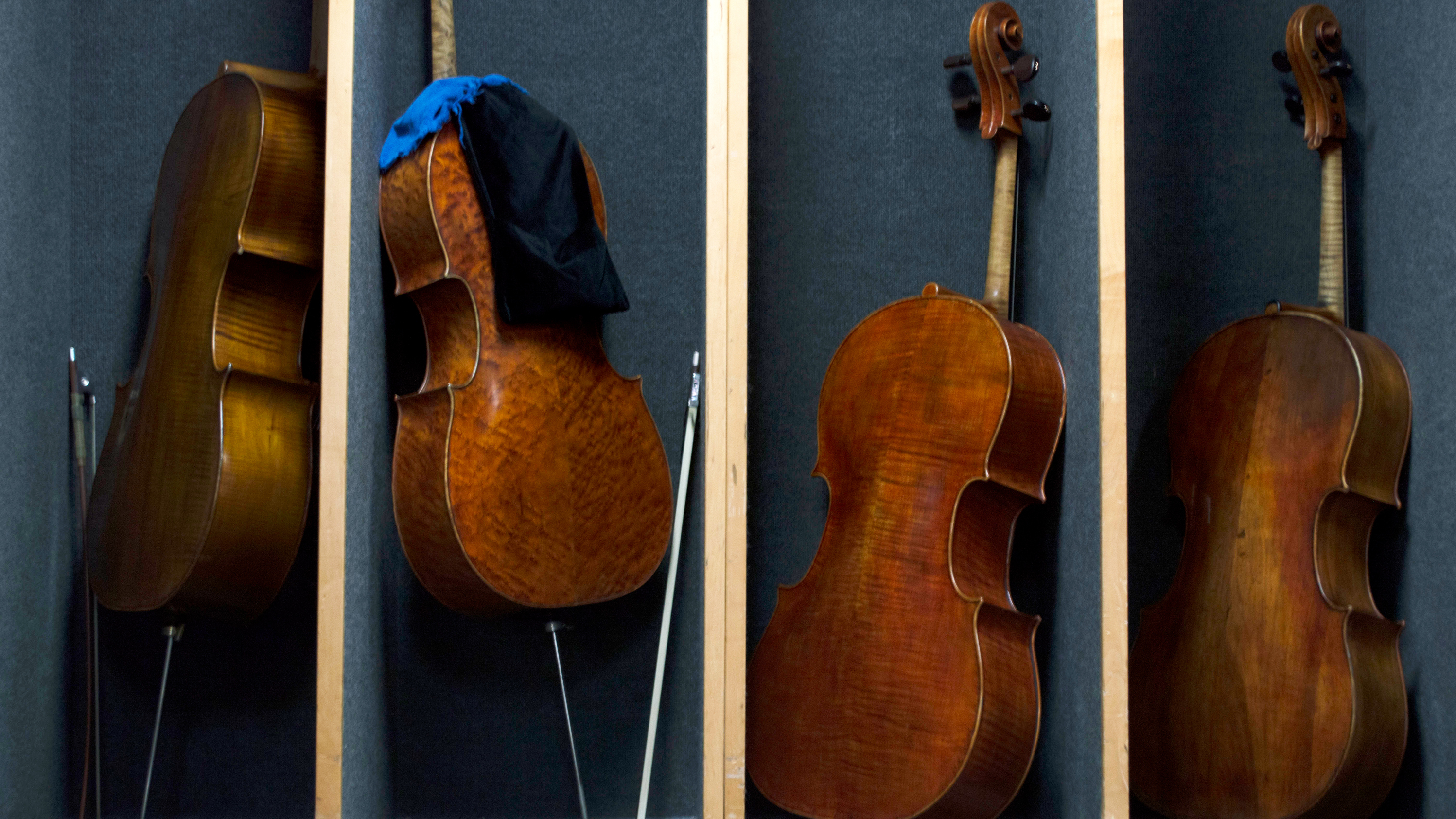 The Tree That Rocked The Music Industry : NPR