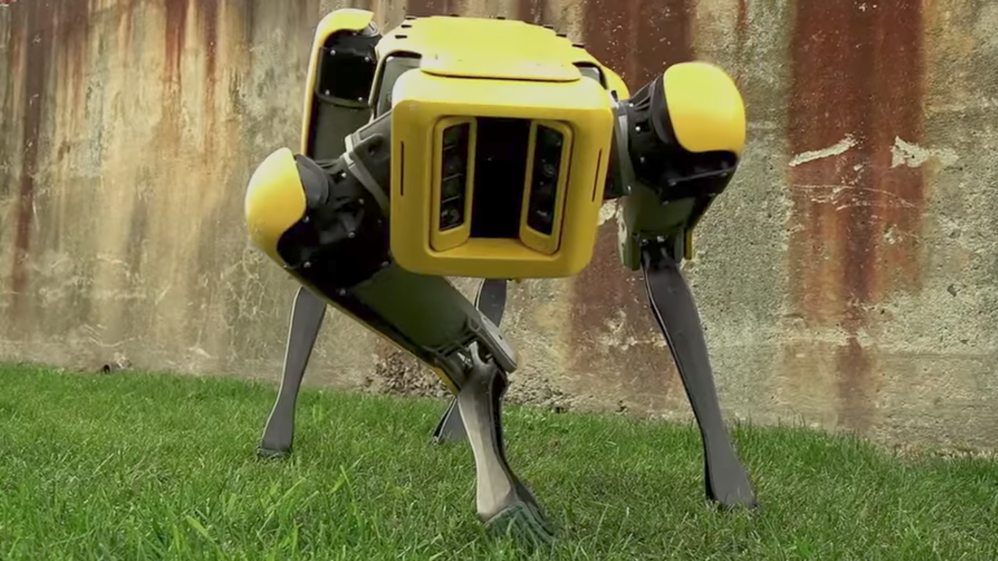 Does This Robot Freak You Out? : 13.7: Cosmos And Culture : NPR