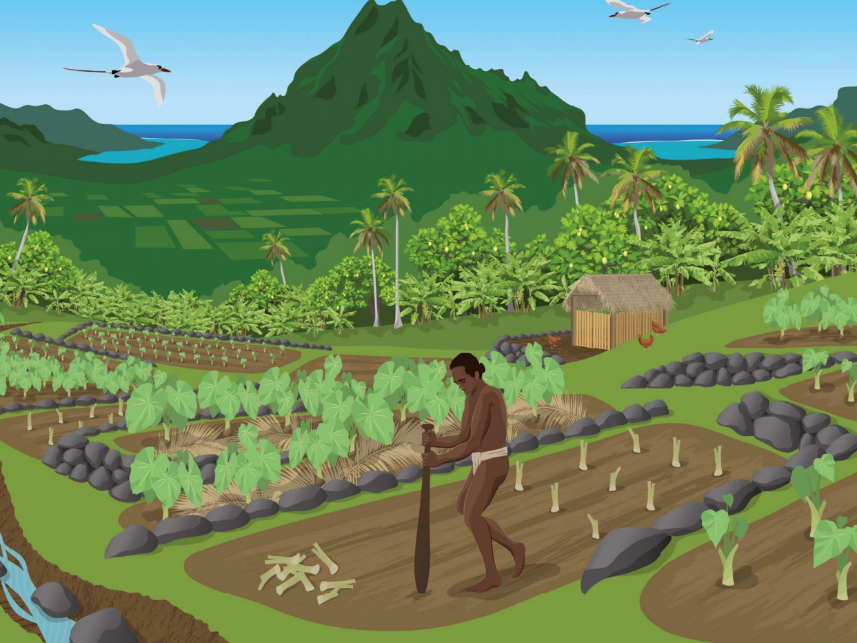 Ancient Polynesian Culture