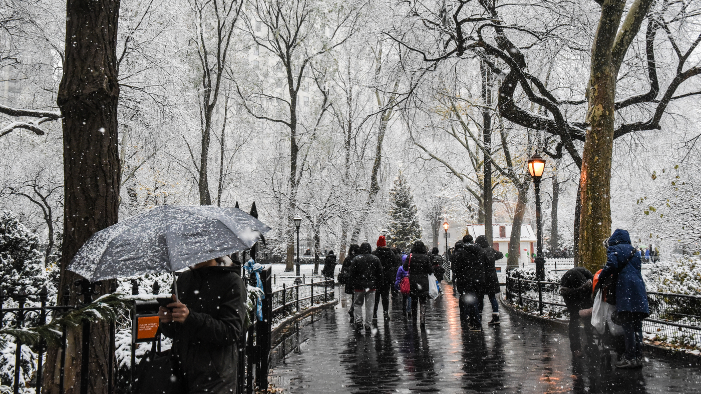 The Internet Celebrates The First Snow Of The Season : The Two-Way : NPR