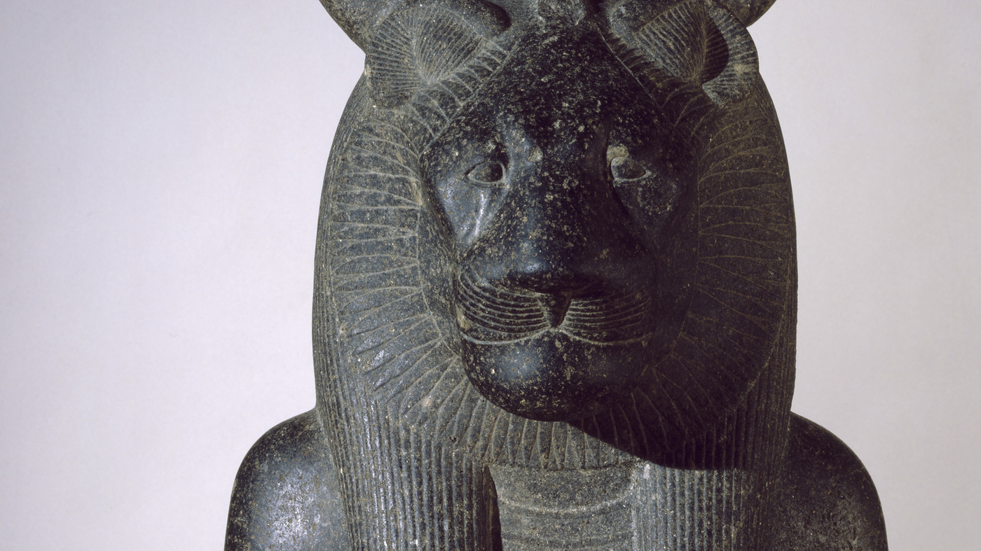 No Kitten Around: Museum Exhibit Celebrates 'Divine Felines' : NPR