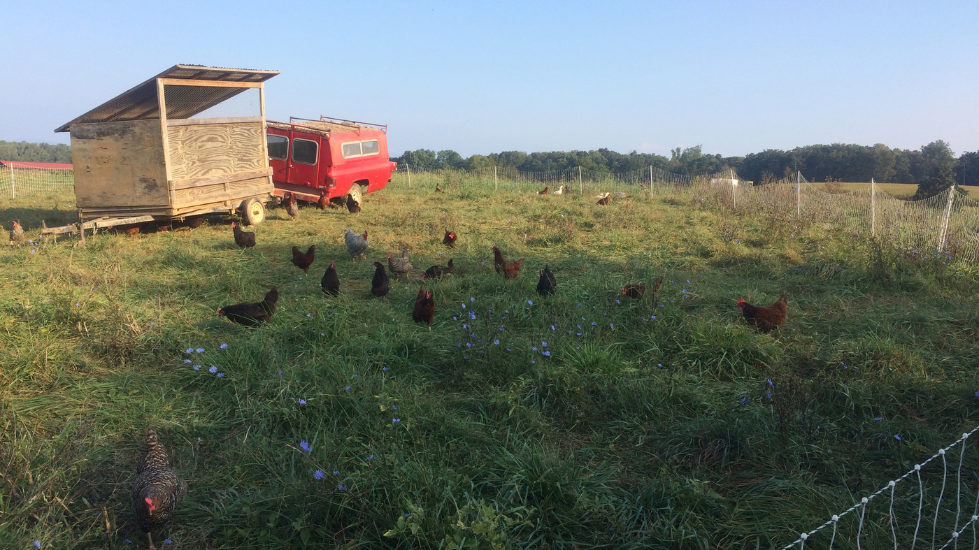 Black Farmers Are Sowing The Seeds Of Health And Empowerment : The Salt ...