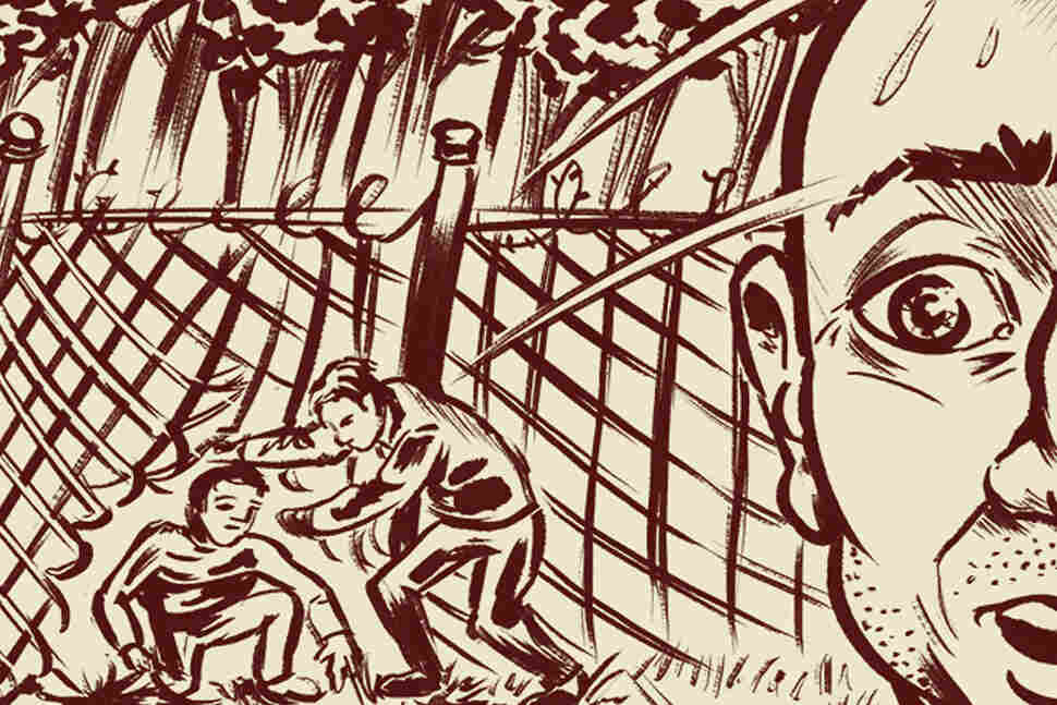 Favorite Visual Stories From 2017 : NPR