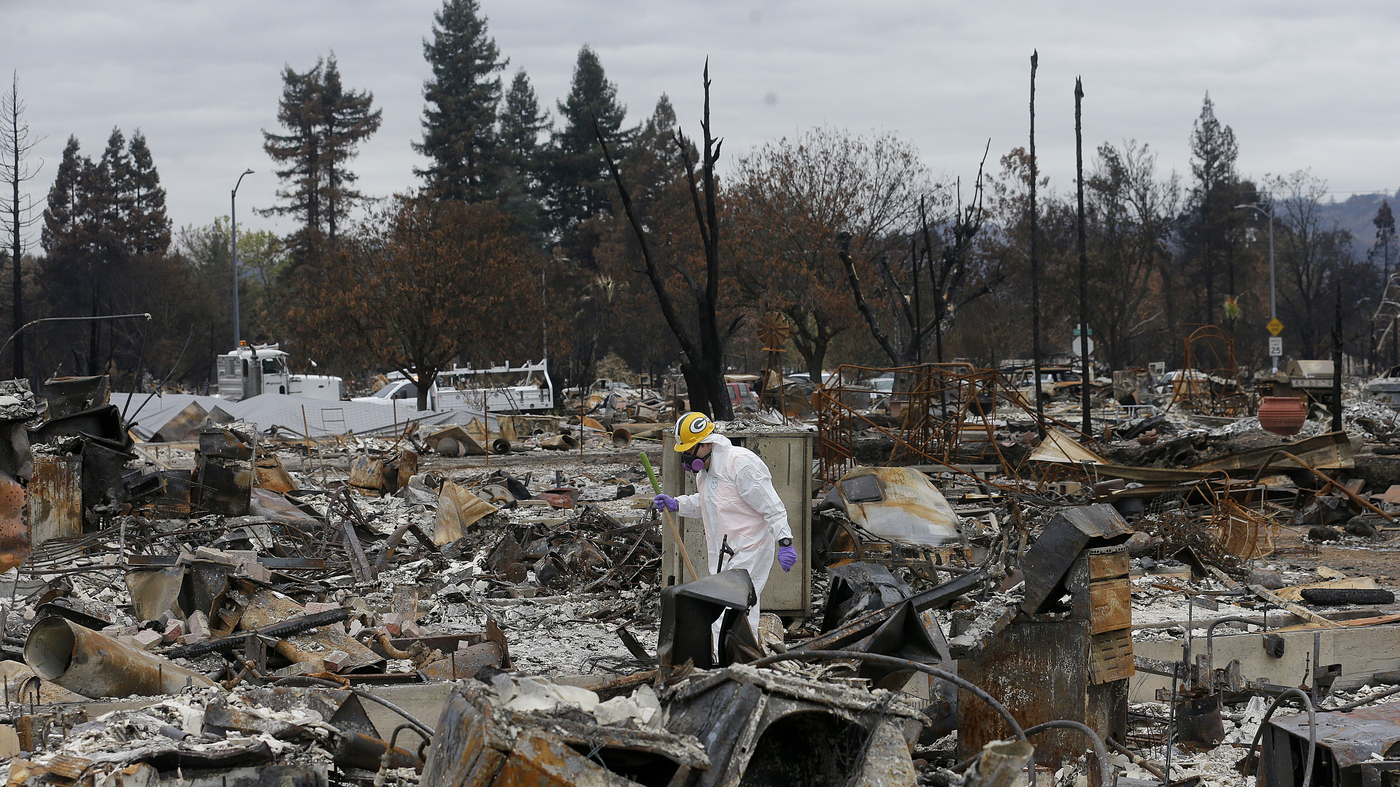California Wildfire Victims Put Up Christmas Trees on Land Where Homes ...