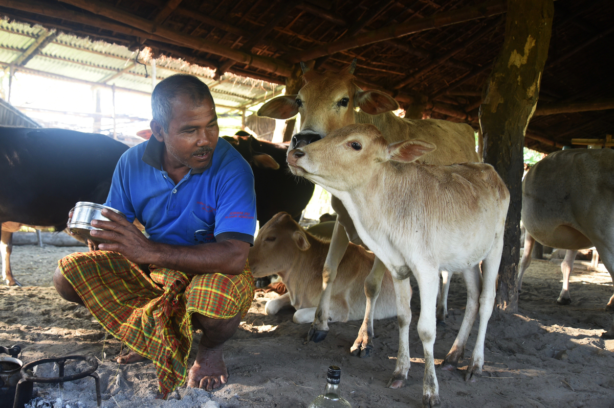 A Lifetime Of Planting Trees On A Remote River Island: Meet India's ...