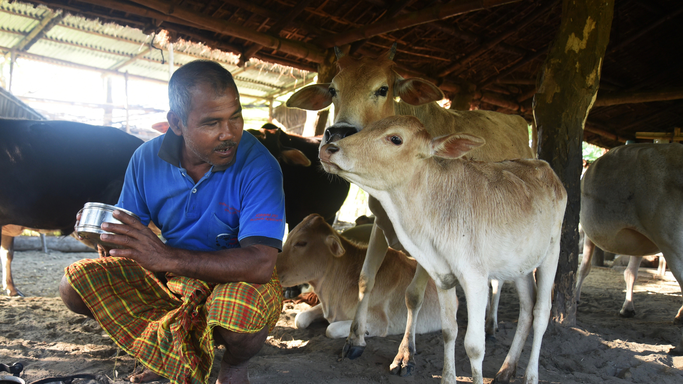 A Lifetime Of Planting Trees On A Remote River Island: Meet India's ...