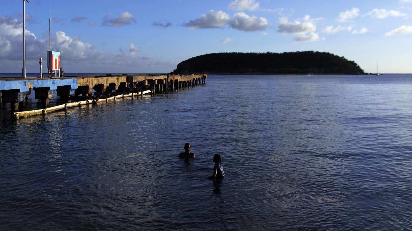 A Bay Glows Again In Puerto Rico : The Two-Way : NPR