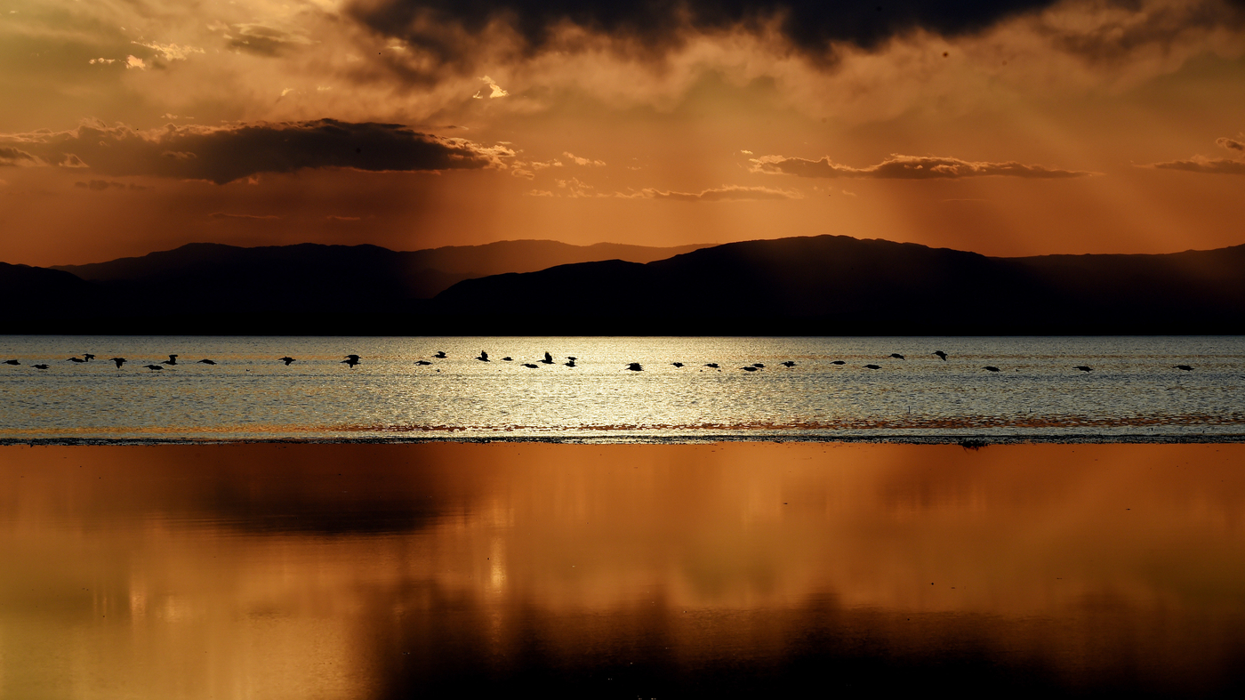 'Farm To City' Deal To Dry Out Stretches Of California's Legendary ...