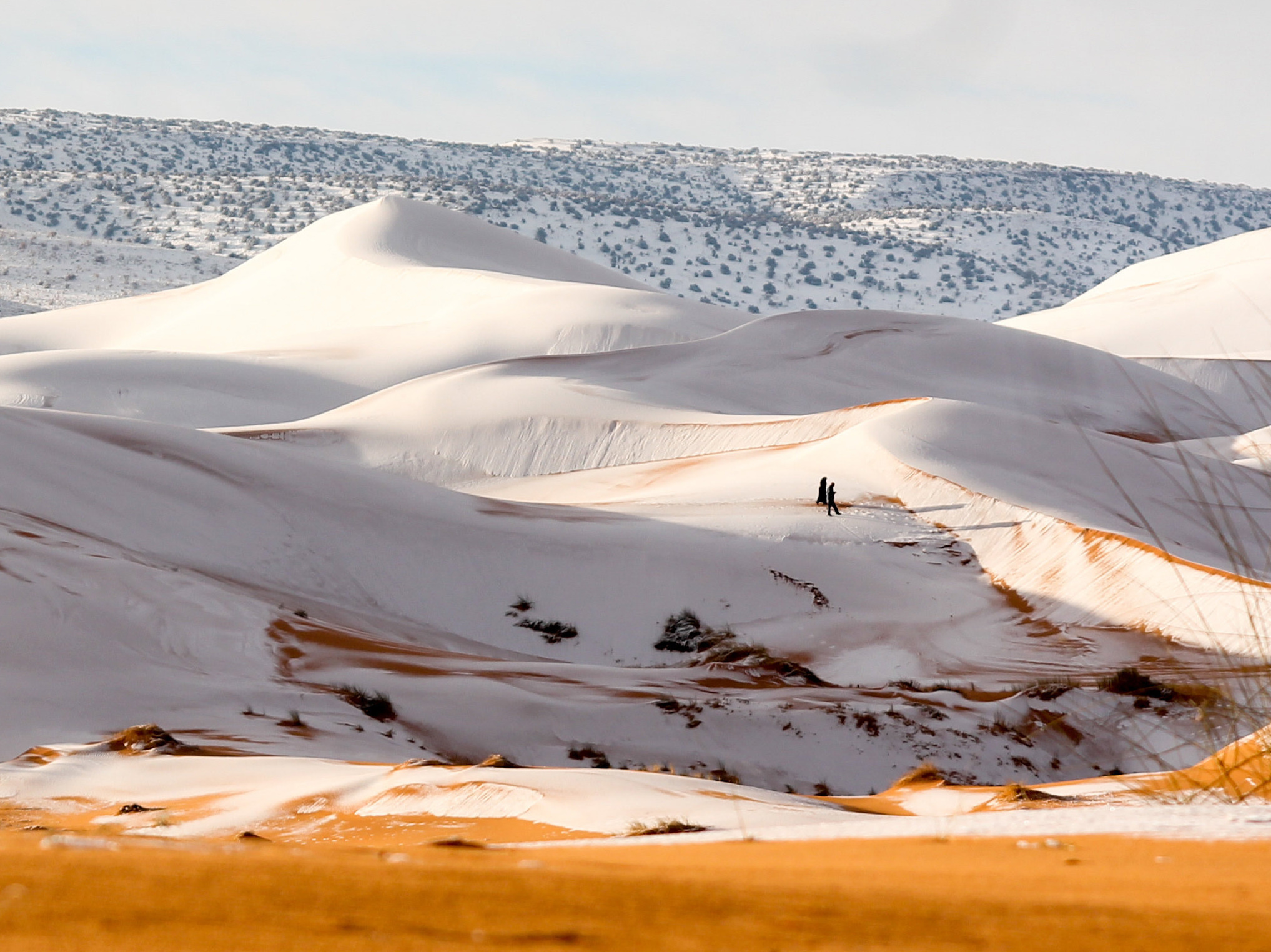 PHOTOS: The Sahara Desert, Painted White With Snow | NCPR News