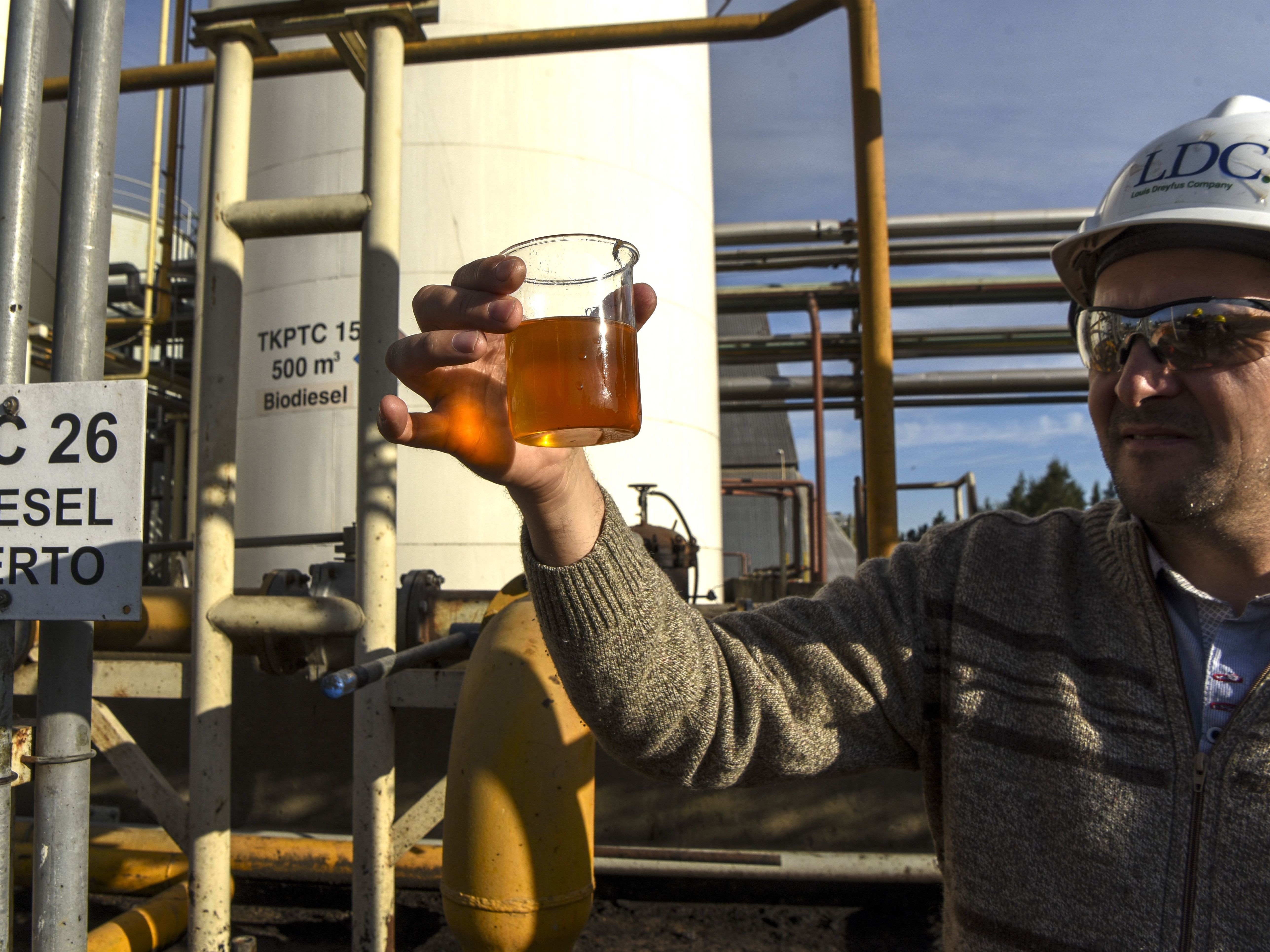 Turning Soybeans Into Diesel Fuel Is Costing Us Billions - capradio.org