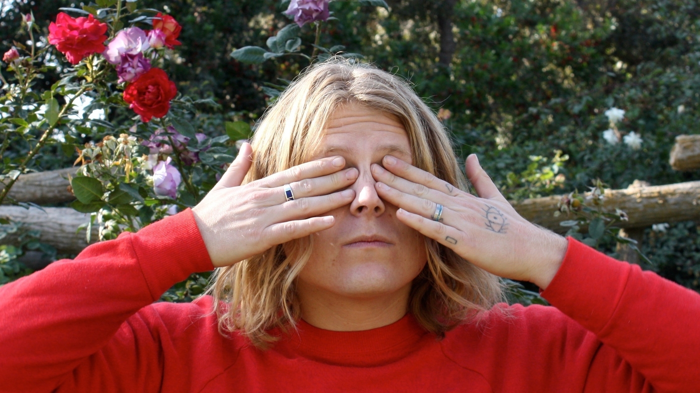 Review: Ty Segall, 'Freedom's Goblin' : NPR