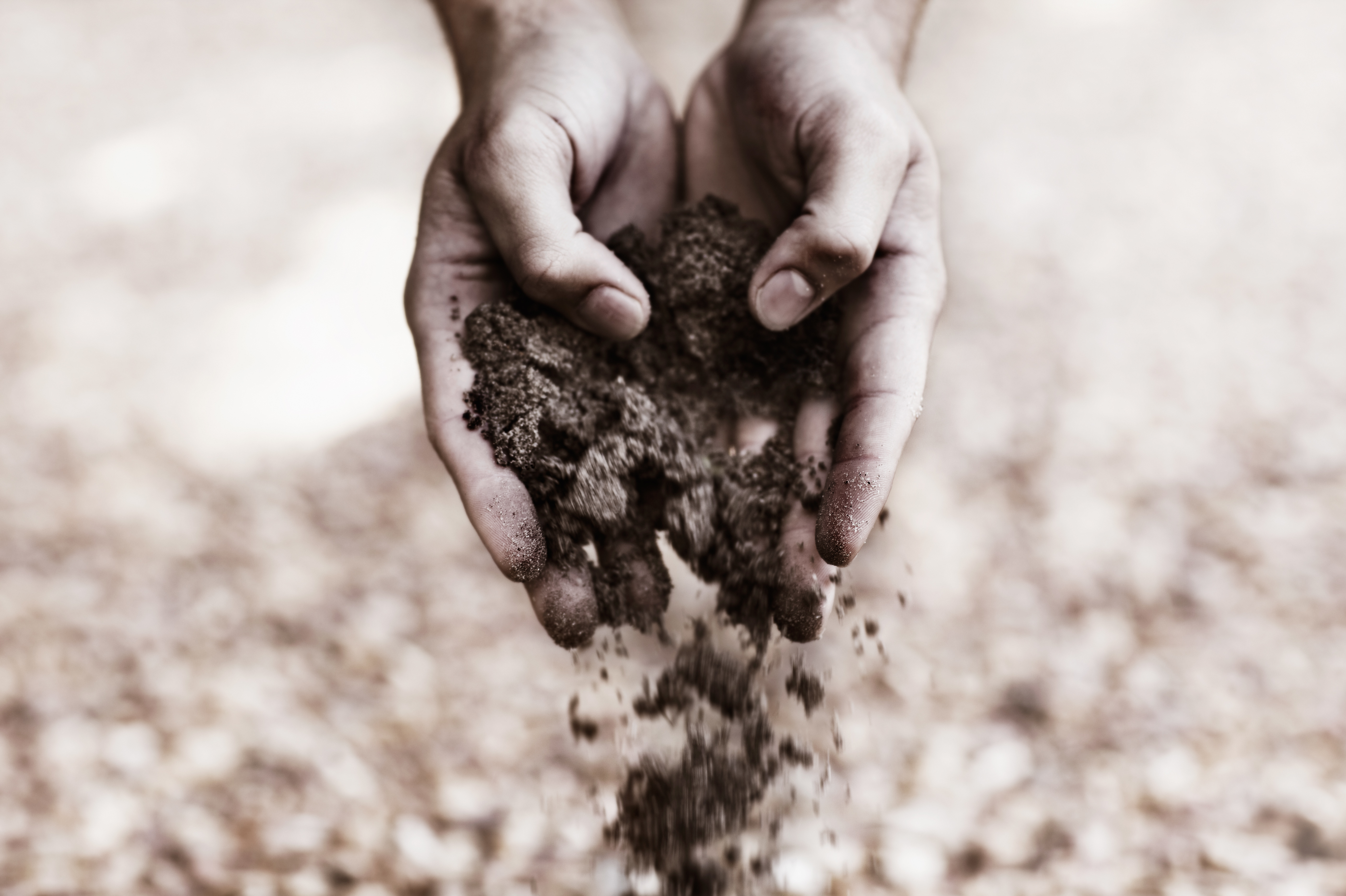 Scientists Peek Inside The 'Black Box' Of Soil Microbes To Learn Their ...