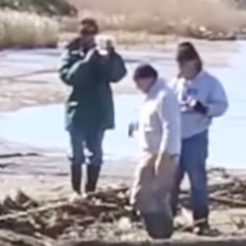 Reporter May Have Discovered Clotilda, The Last American Slave Ship ...