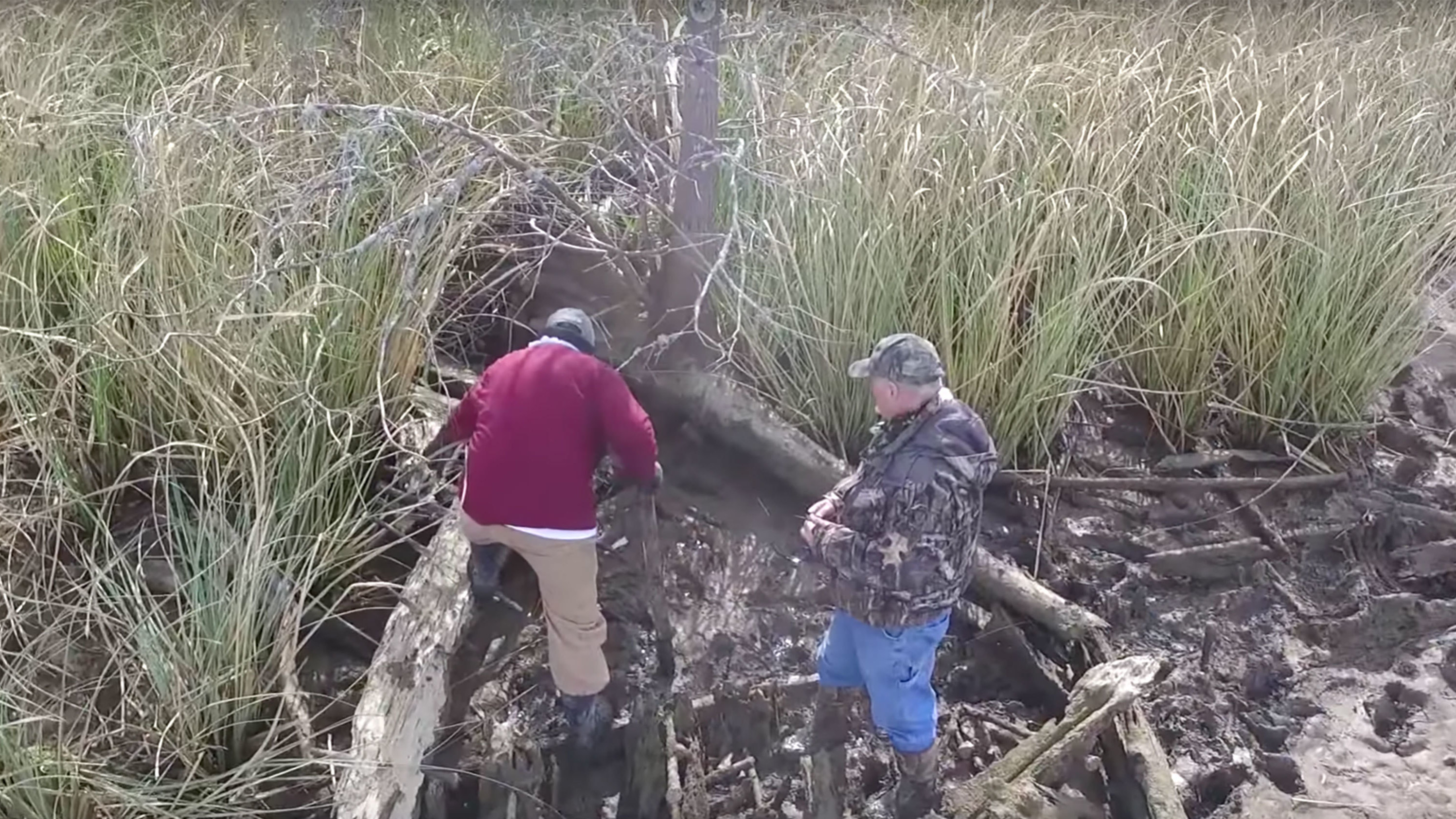 Reporter May Have Discovered Clotilda, The Last American Slave Ship ...