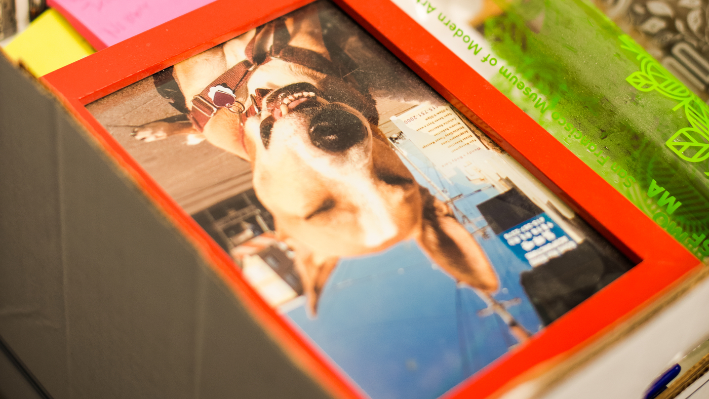 Faces Of NPR: N'Jeri Eaton : NPR Extra : NPR