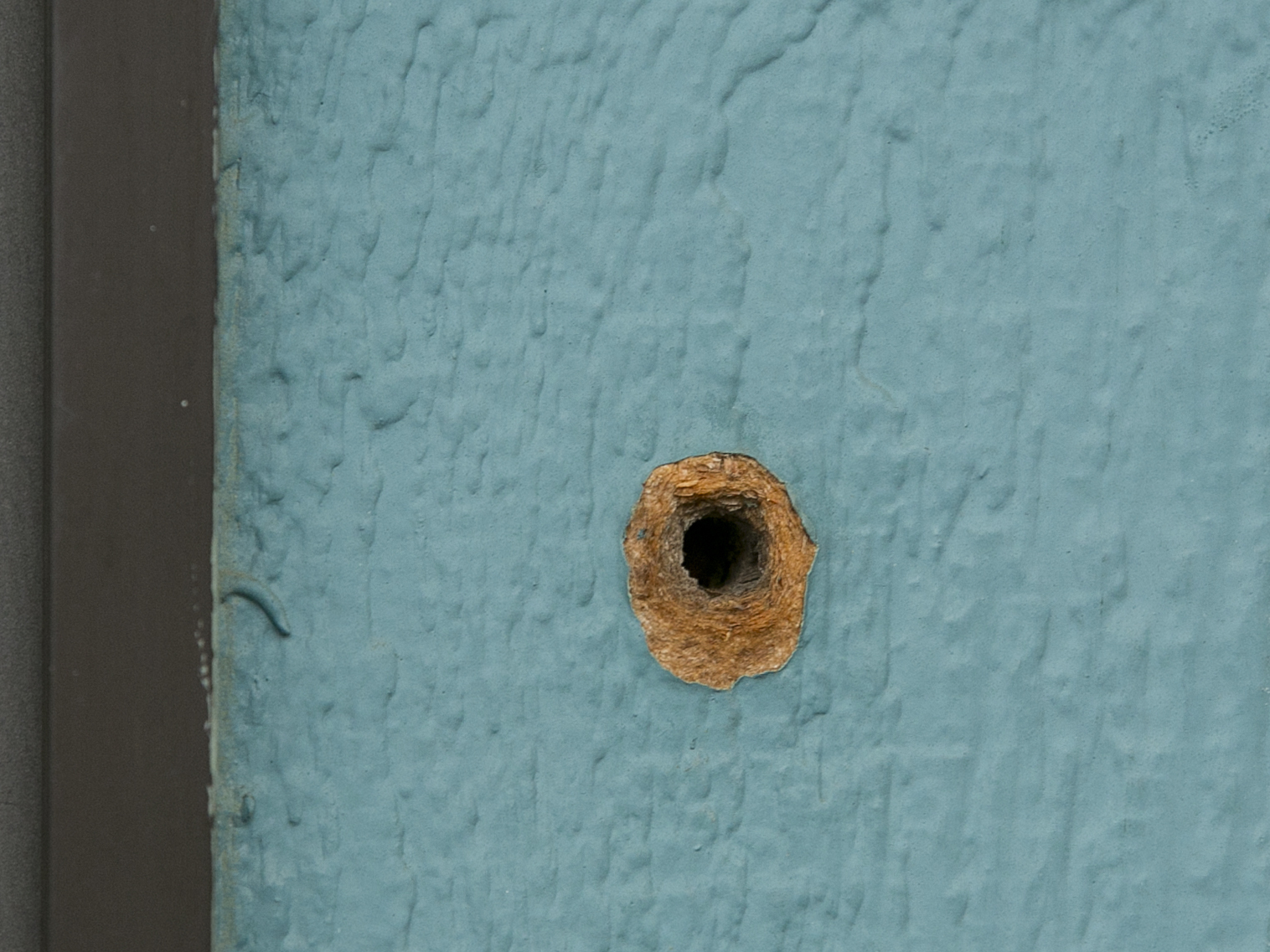 California Town Wrestles With Aftermath Of Shooting Rampage | NCPR News