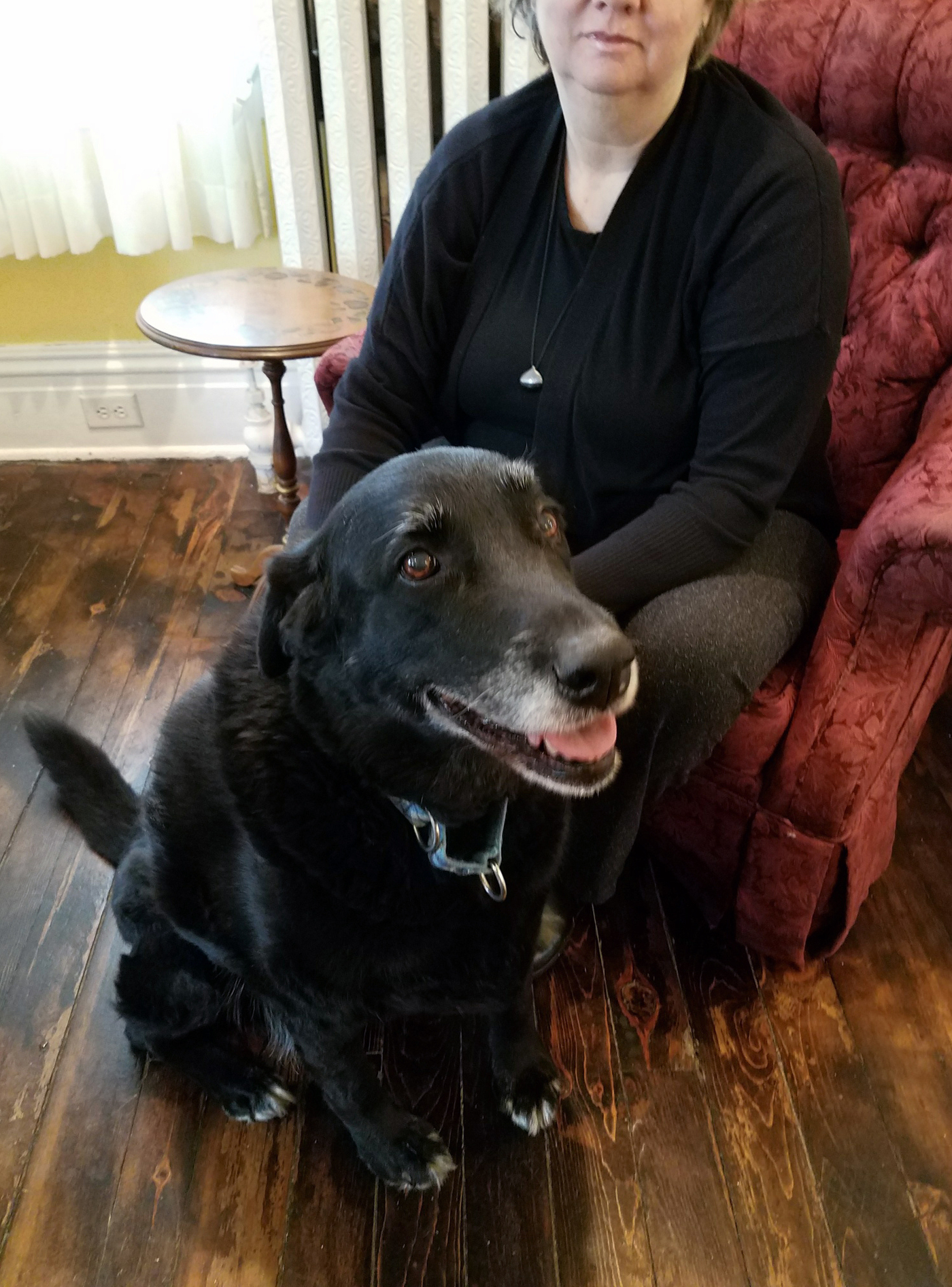 Missing Black Lab Returns To Family After She Was Gone 10 Years : NPR