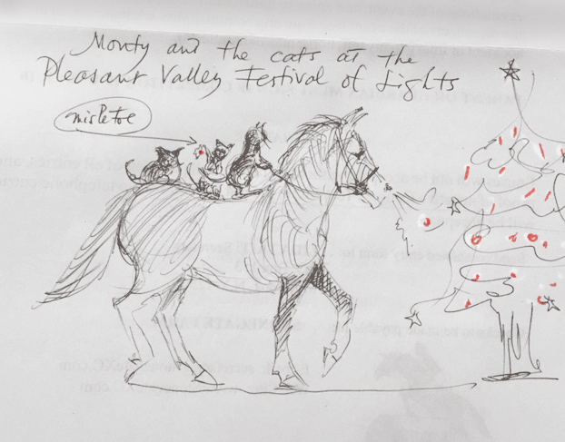 In 'Catnip,' Love And Loss Sketched Out In Cat Cartoons : NPR