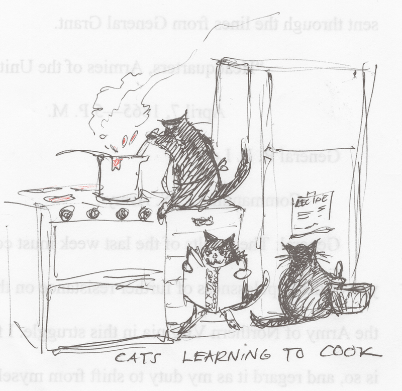 In 'Catnip,' Love And Loss Sketched Out In Cat Cartoons : NPR