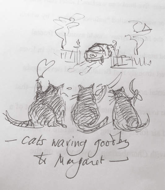 In 'Catnip,' Love And Loss Sketched Out In Cat Cartoons | NCPR News