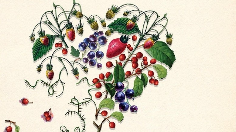 In 'Heart Berries,' An Indigenous Woman's Chaotic Coming-Of-Age : NPR