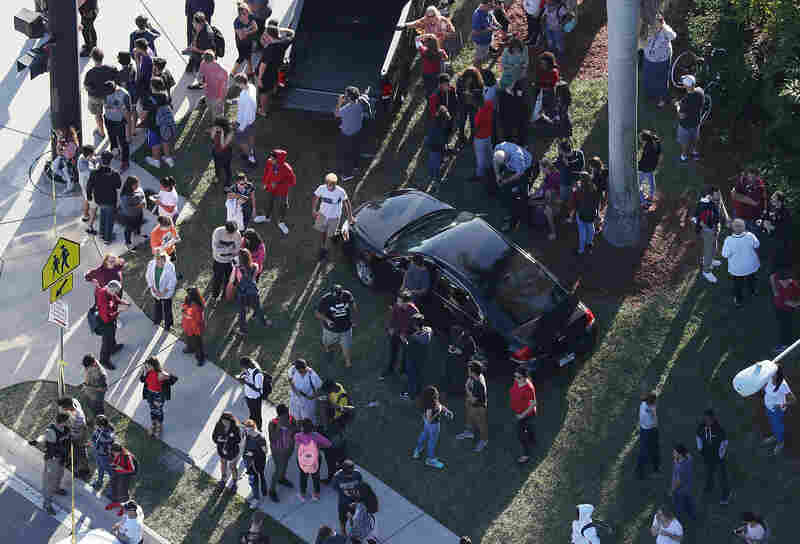 Florida School Shooting Leaves 17 People Dead, Sheriff Says : The Two ...