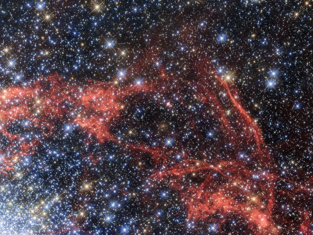 How To Detect A Ghost (Particle) : 13.7: Cosmos And Culture : NPR