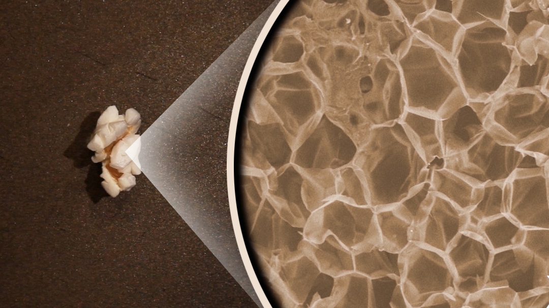 The Oscar For Best Snack Goes To ... Popcorn, The 6,000-Year-Old Aztec ...