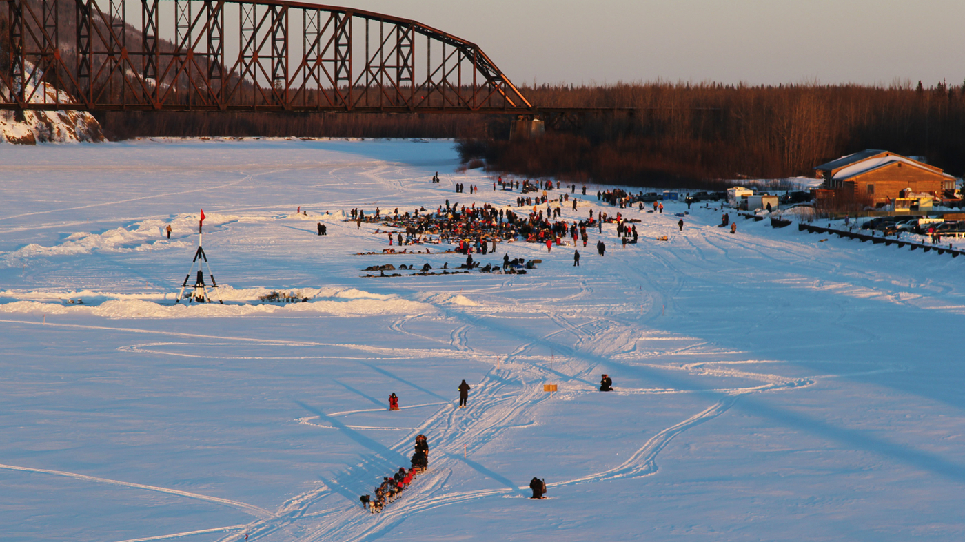 Musher Mutiny, Dog Doping: Scandals Mire The Super Bowl Of Sled Dog ...