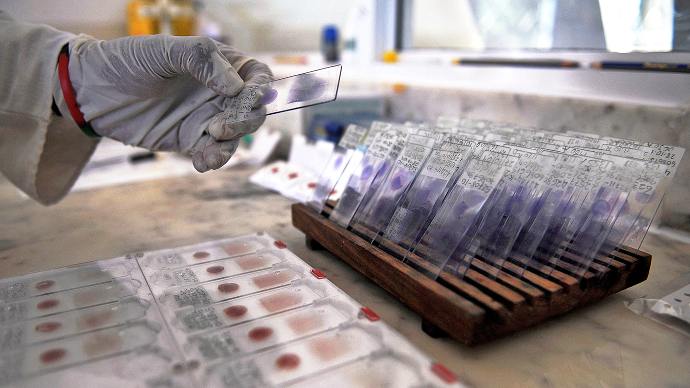 Scientists In Africa Wonder If Academic Journals Are Biased Against ...