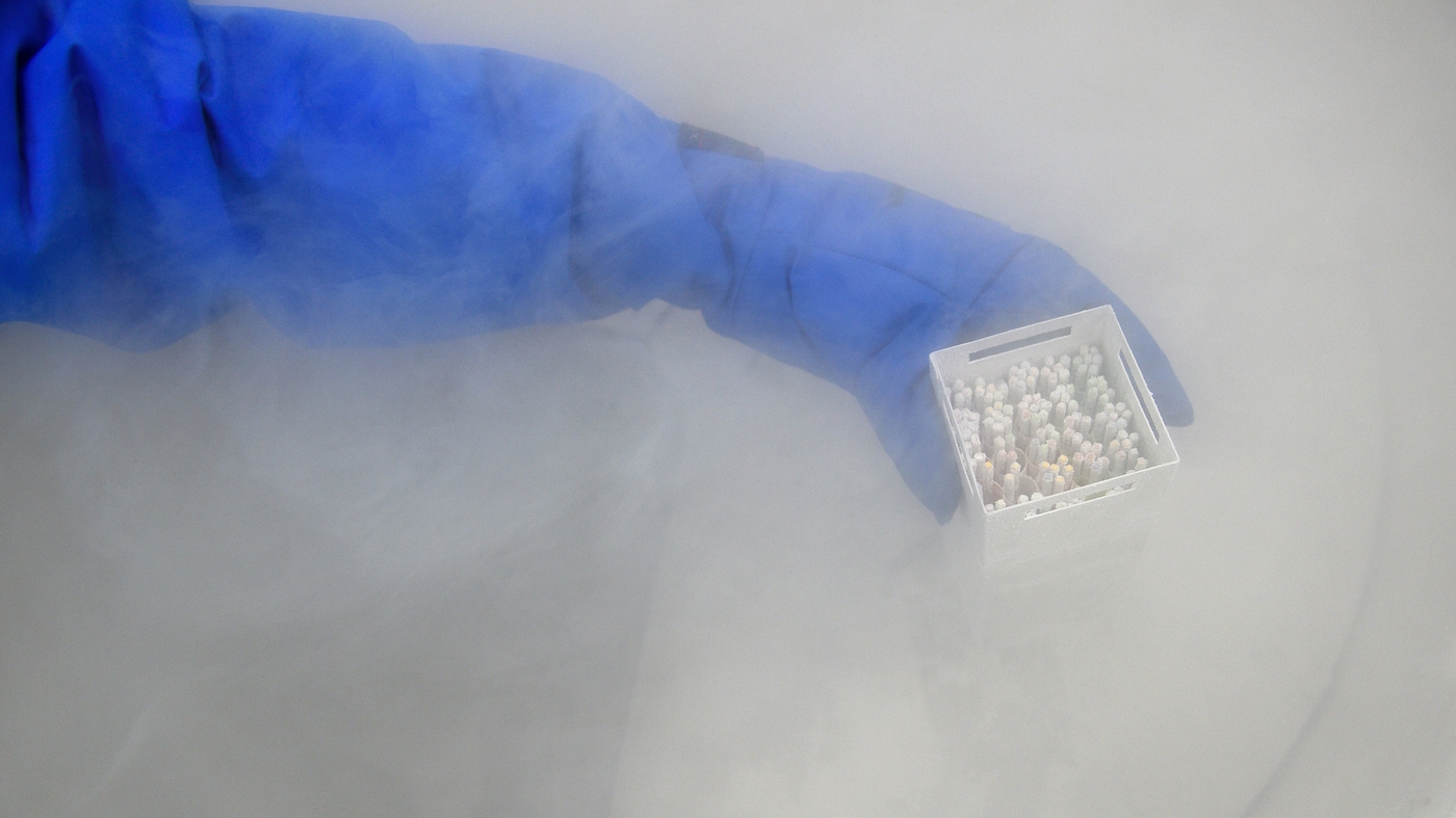 Ohio Fertility Clinic Says 4,000 Eggs And Embryos Destroyed When ...