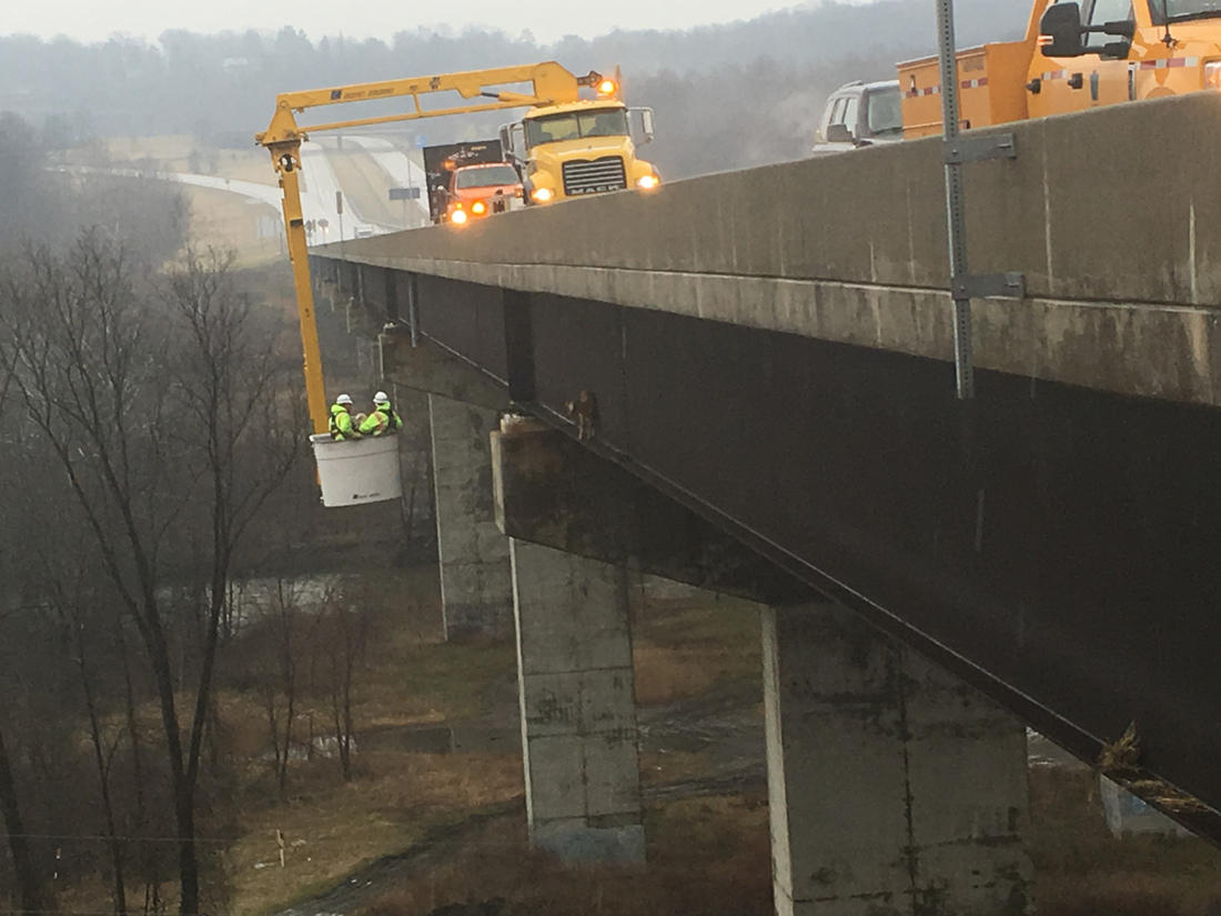 Dramatic Goat Rescue Operation For A Pair Stuck On A Beam Under A ...