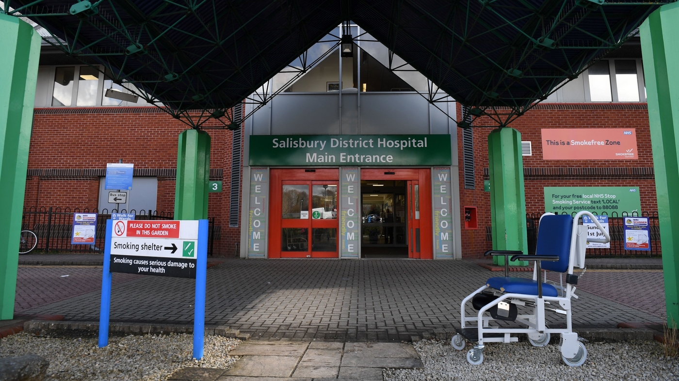 Sergei Skripal Is 'Improving Rapidly,' But His Cat And Guinea Pigs Are ...