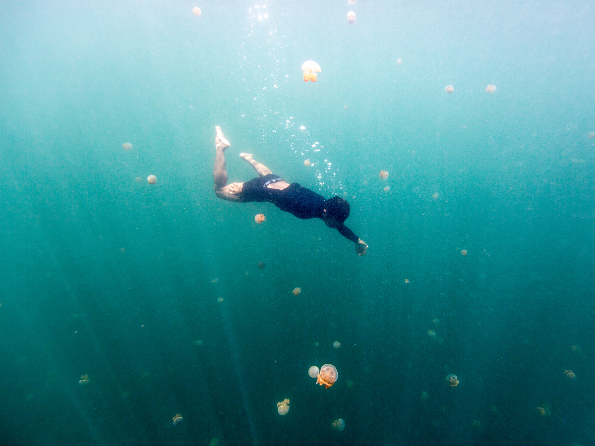 How Do Indonesia's 'Sea Nomads' Stay Under Water So Long? The Secret ...