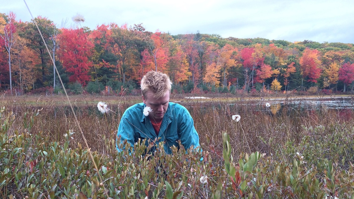 Daniel Bachman Ushers In His Next Phase At A 'New Moon' : All Songs Considered : NPR