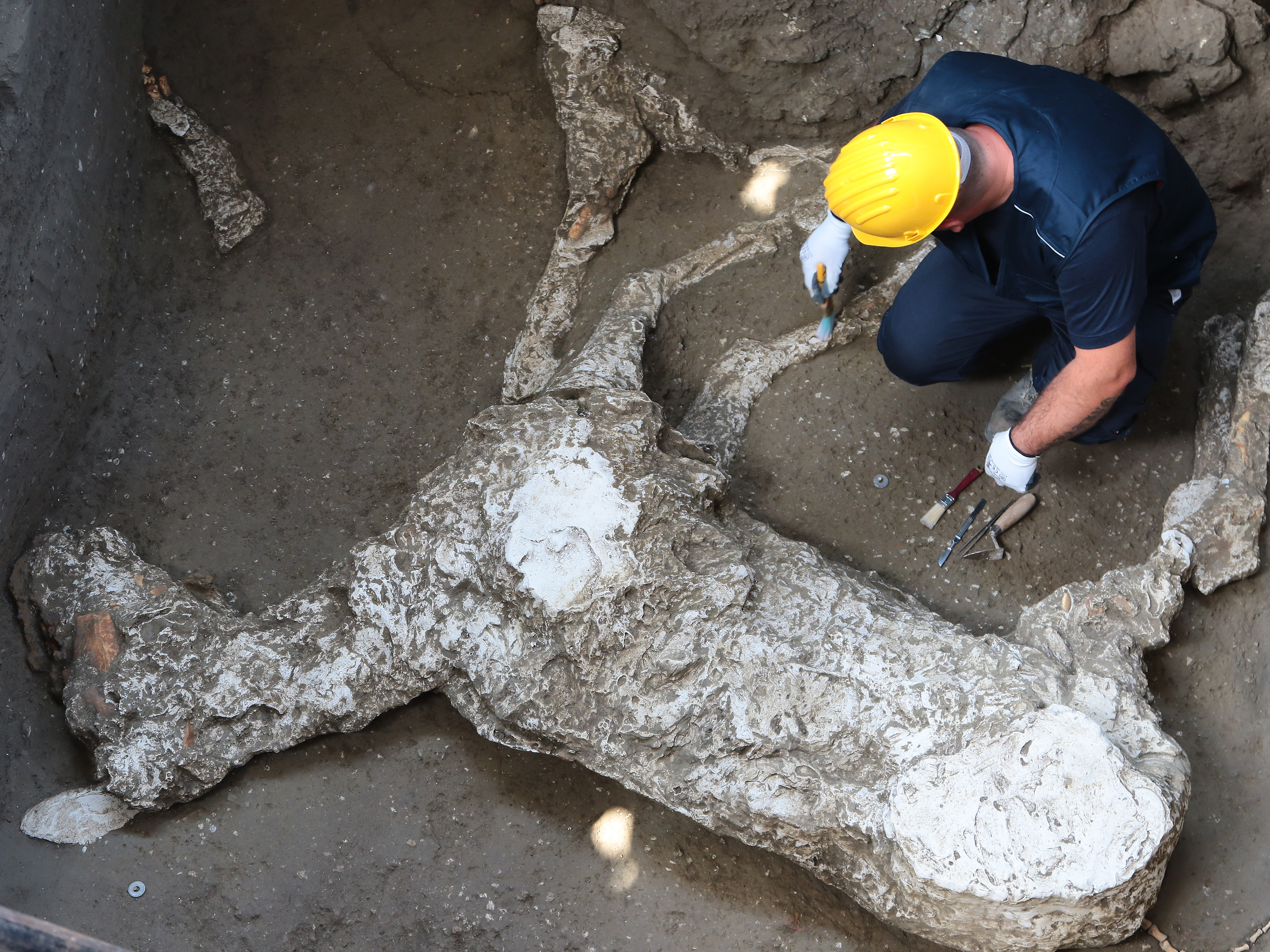 New Excavation At Pompeii Uncovers Victim Crushed By Massive Rock ...