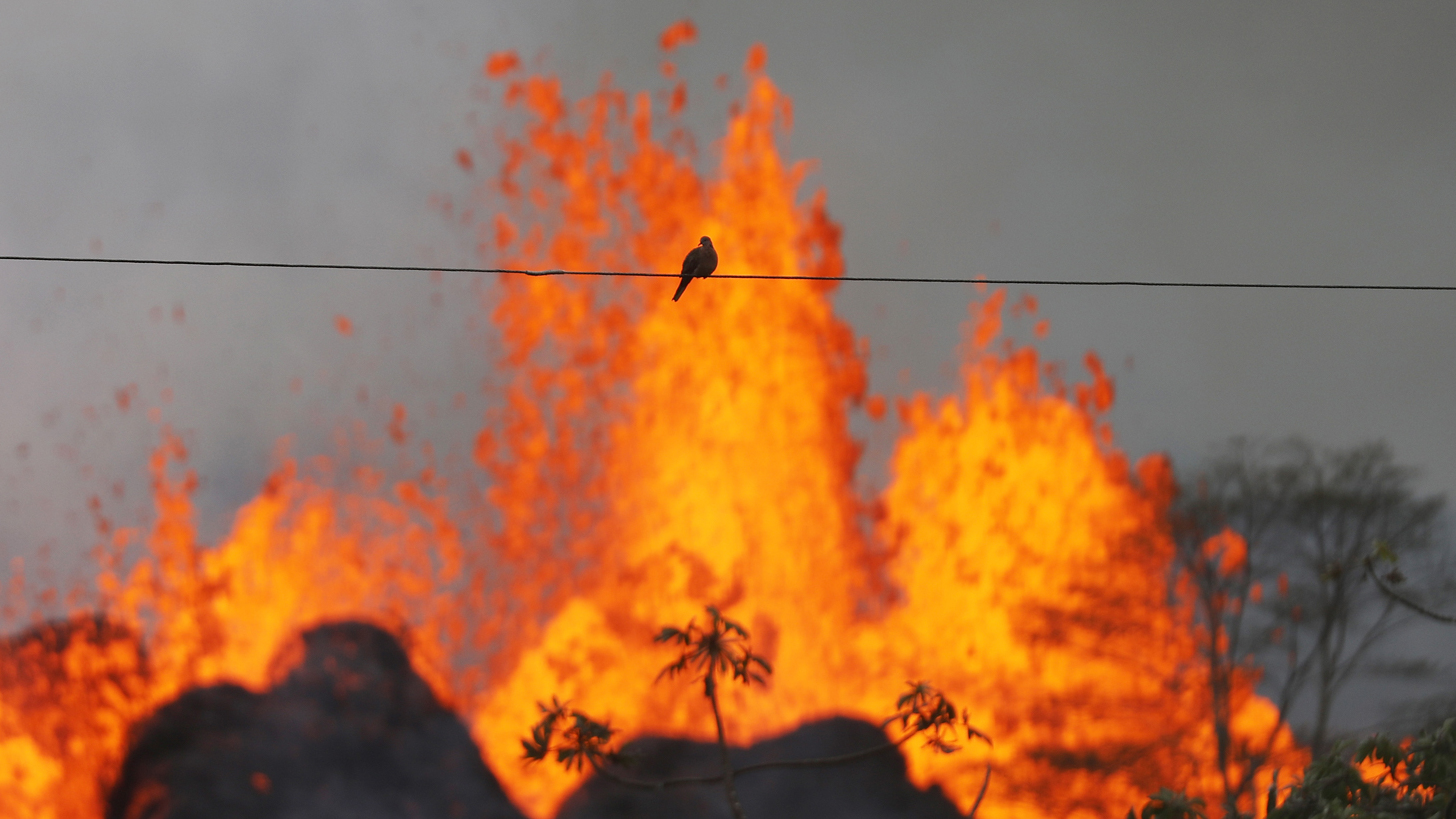 Hawaii Volcano Photos Show Sheer Power And Beauty Of Nature : The ...