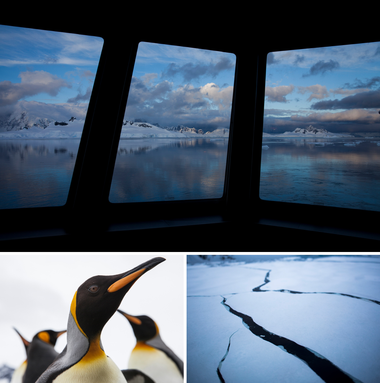 Photographer Captures The Contradictions Of Otherworldly Antarctica ...