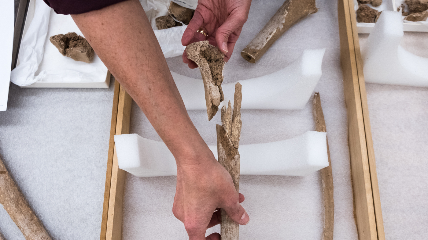 Manassas Battlefield 'Limb Pit' Provides Glimpse Of Overlooked Civil ...