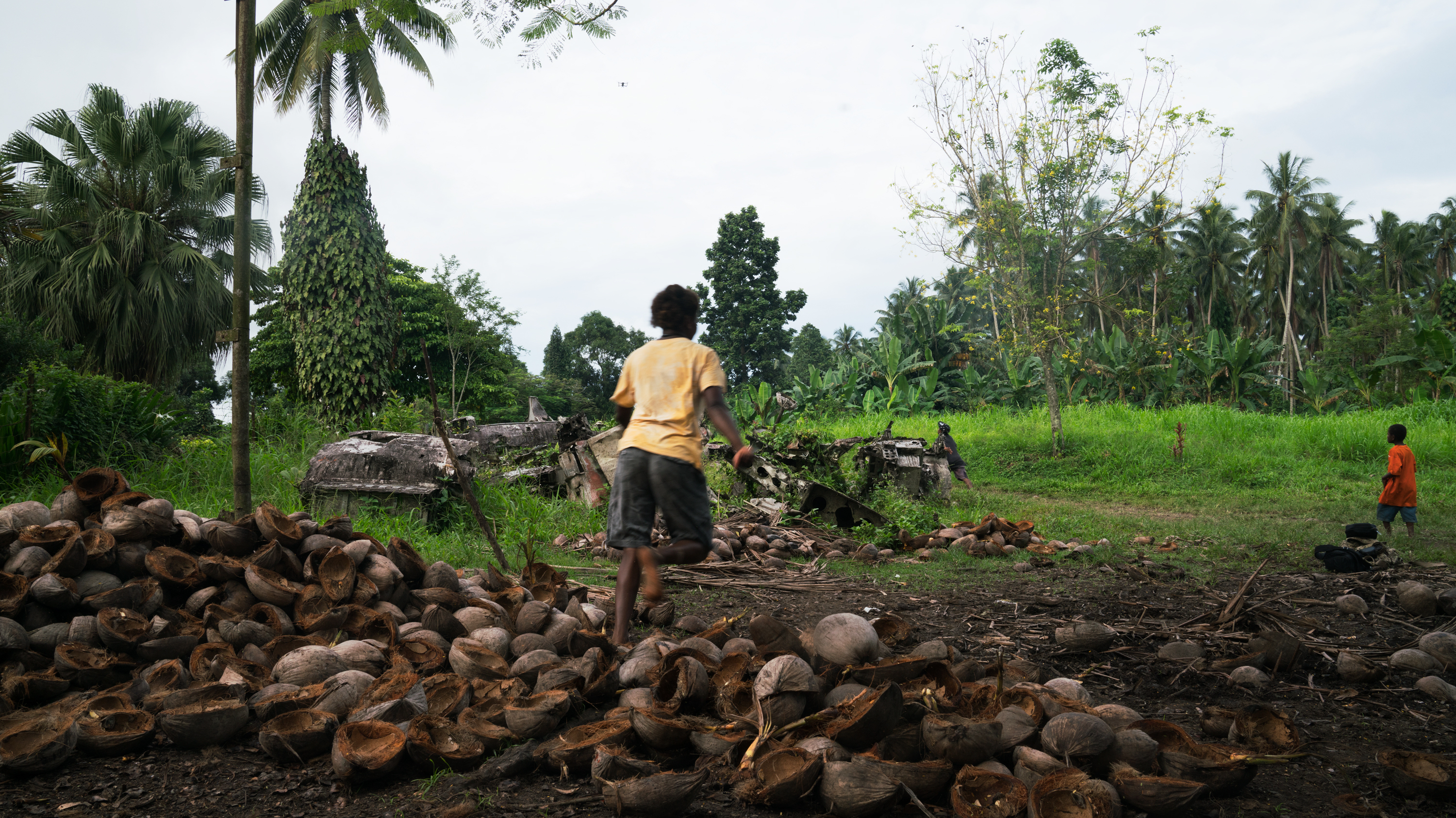 War In Papua New Guinea : Why Indonesia fails to address the West Papua ...