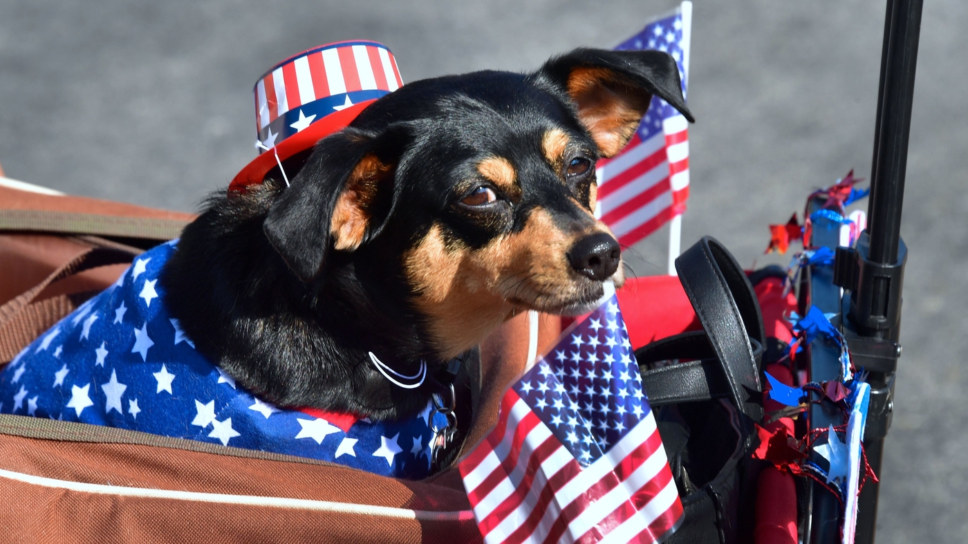 Weekly Wrap: "In The Balance." : It's Been a Minute : NPR