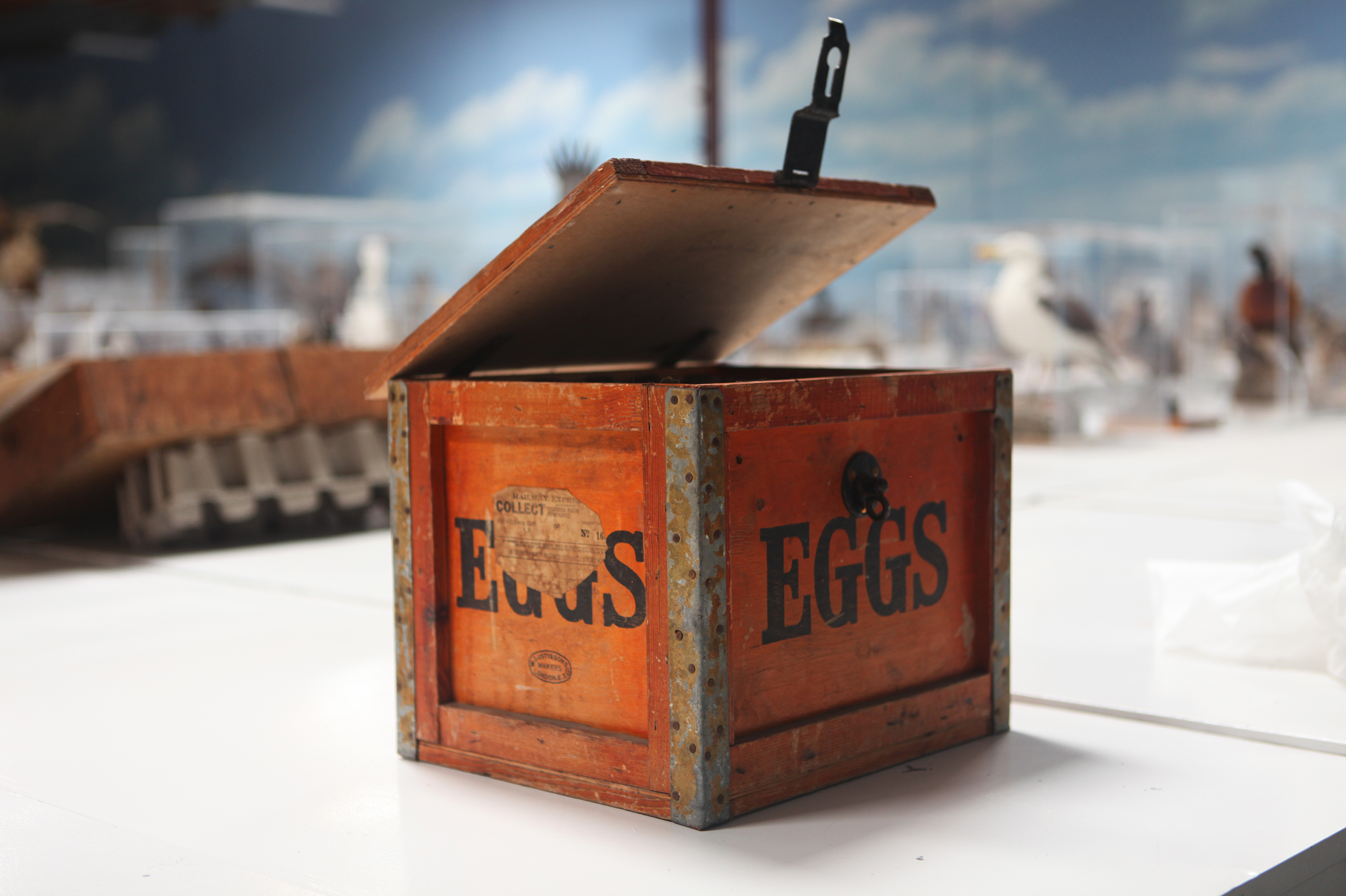 From A Million Eggs, Putting Together Clues About Science's Past And ...