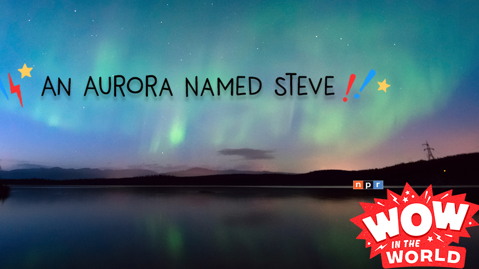 An Aurora Named Steve : NPR