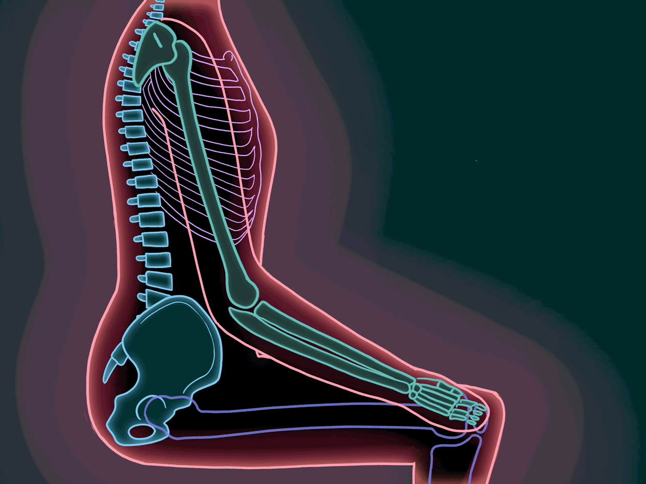 To Fix That Pain In Your Back, You Might Have To Change The Way You Sit ...