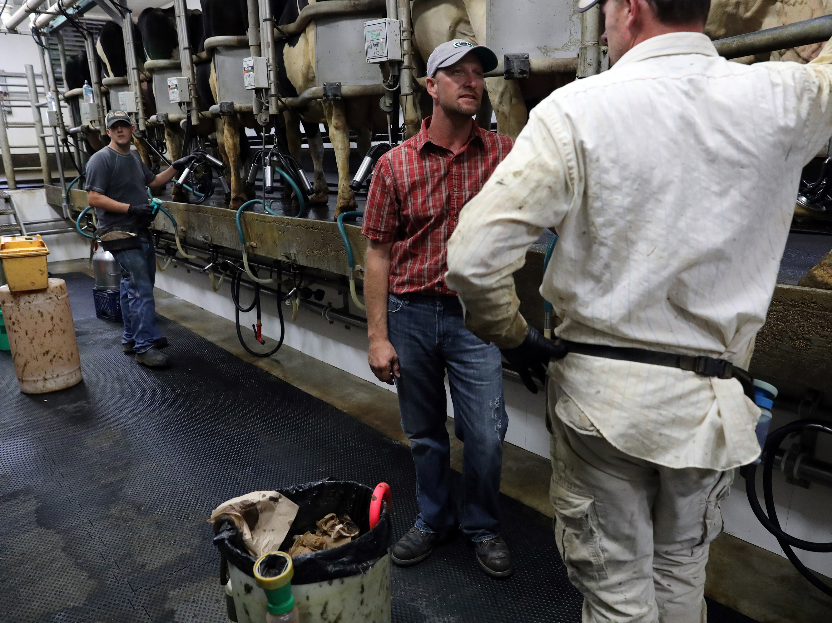 For Wisconsin's Dairy Farmers, Tariffs Could Reshape The Race For The ...