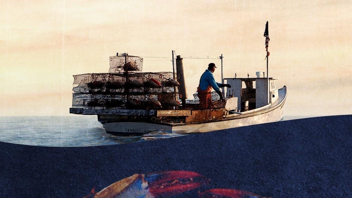 'Chesapeake Requiem' Chronicles Life On An Endangered Island : NPR