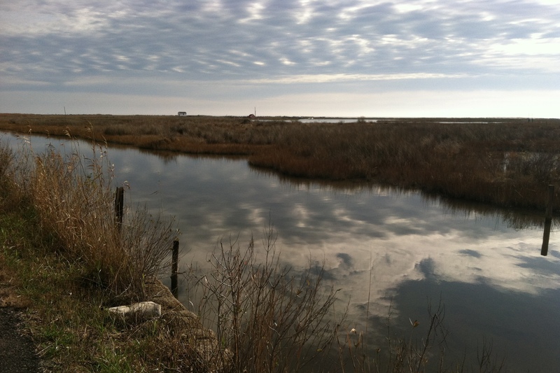 'Chesapeake Requiem' Chronicles Life On An Endangered Island : NPR